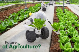 Top Agriculture Analytics Companies Using AI To Solve Agri-Problems